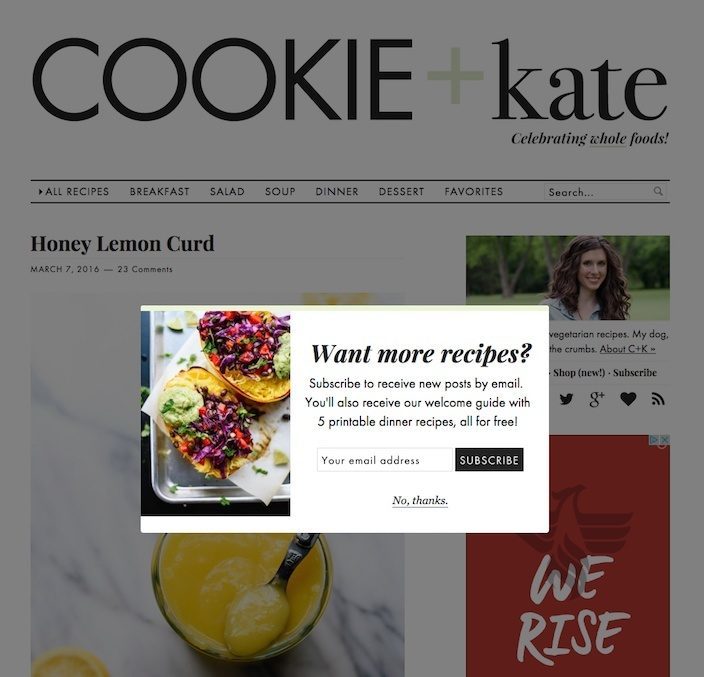 30 Squeeze Page examples To Leverage for More Conversions