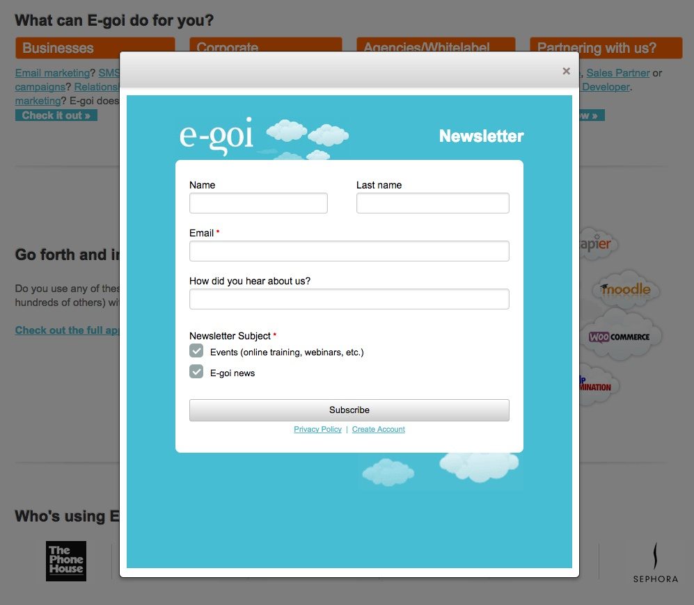 Optimize Your Online Campaigns: The Role of Website Landing Pages