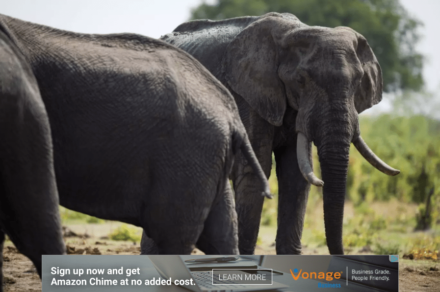 In-Image Advertising 101: How to Use It to Promote Your Message